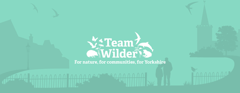 #TeamWilder | Yorkshire Wildlife Trust
