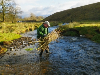 River Aire | Yorkshire Wildlife Trust