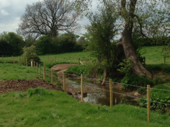 River Wiske Corridor | YWT