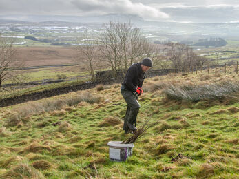 Tree-mendous volunteers make light work | Yorkshire Wildlife Trust