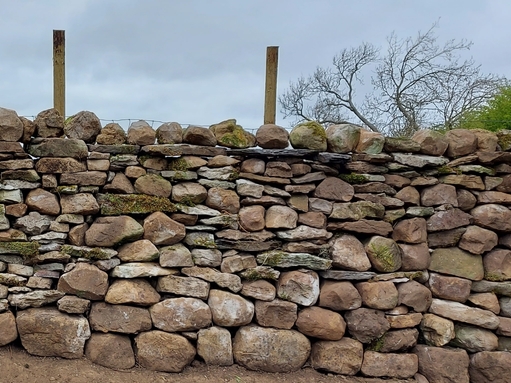 Wildlife Gardening Award | Yorkshire Wildlife Trust