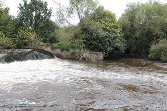 Nature Reserves | Yorkshire Wildlife Trust