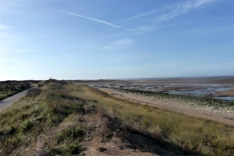 Why Spurn is an ever-changing landscape | Yorkshire Wildlife Trust