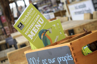 Potteric Carr nature reserve and visitor centre | Yorkshire Wildlife Trust