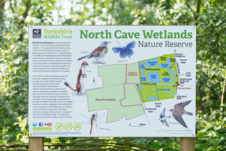North Cave Wetlands - can you help us? | Yorkshire Wildlife Trust