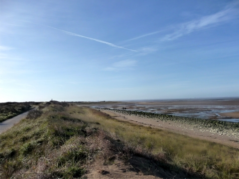 Storm damage at Spurn | Yorkshire Wildlife Trust
