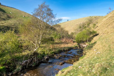 New reserve in the heart of the Dales will return rainforests to ...