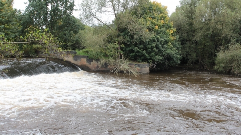 Kirkstall Valley | YWT