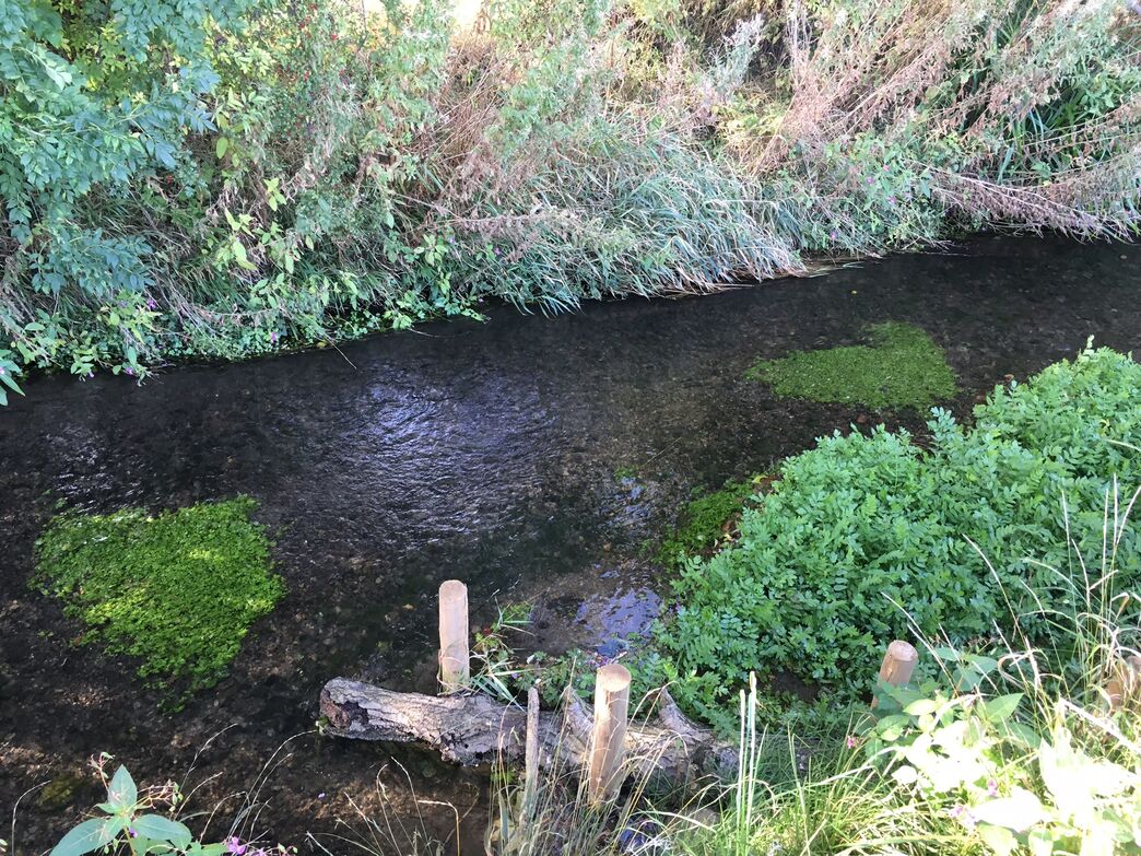 River Tutt Restoration | YWT