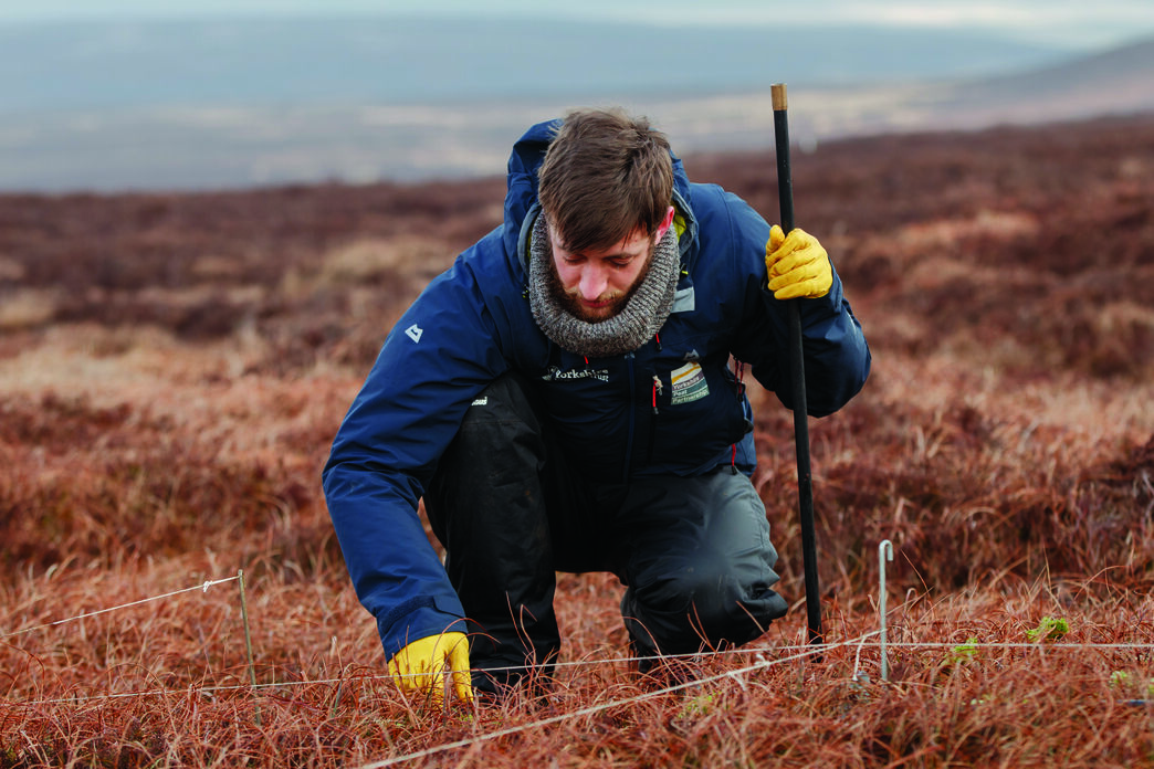 Carbon | Yorkshire Wildlife Trust