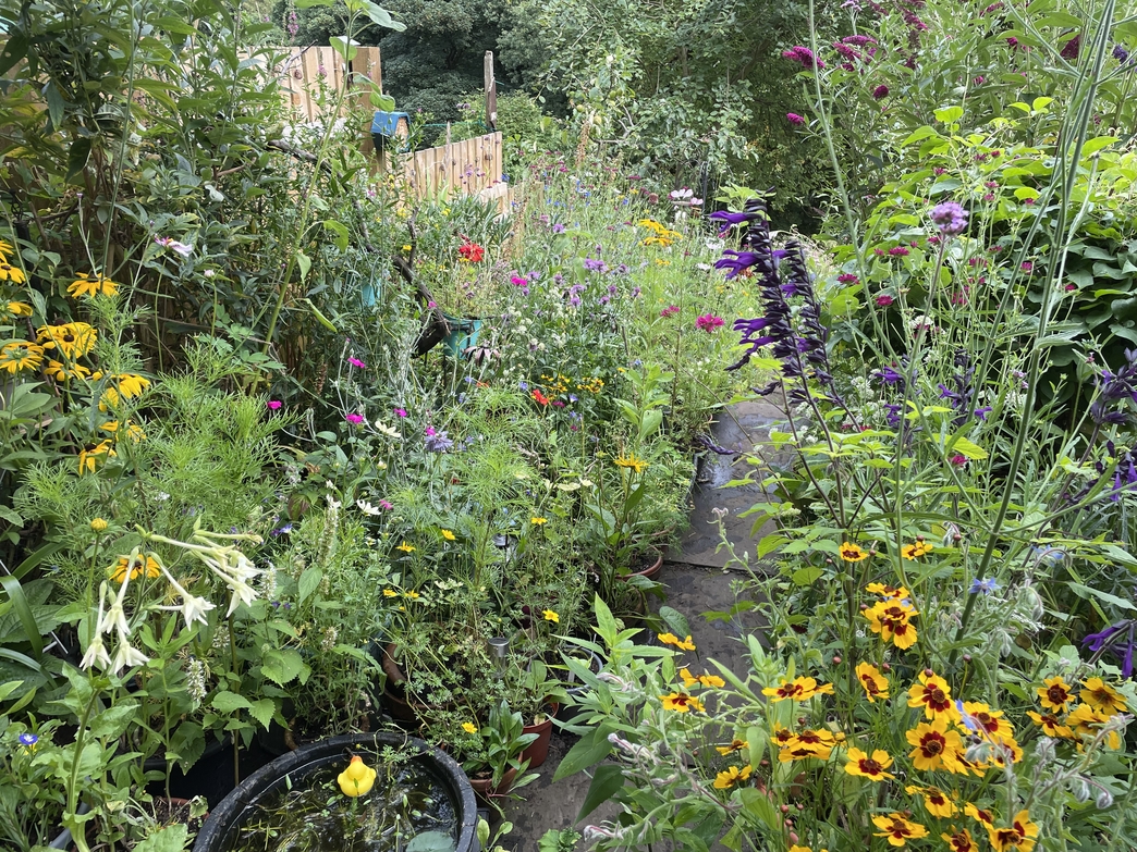 Wildlife Gardening Award | Yorkshire Wildlife Trust