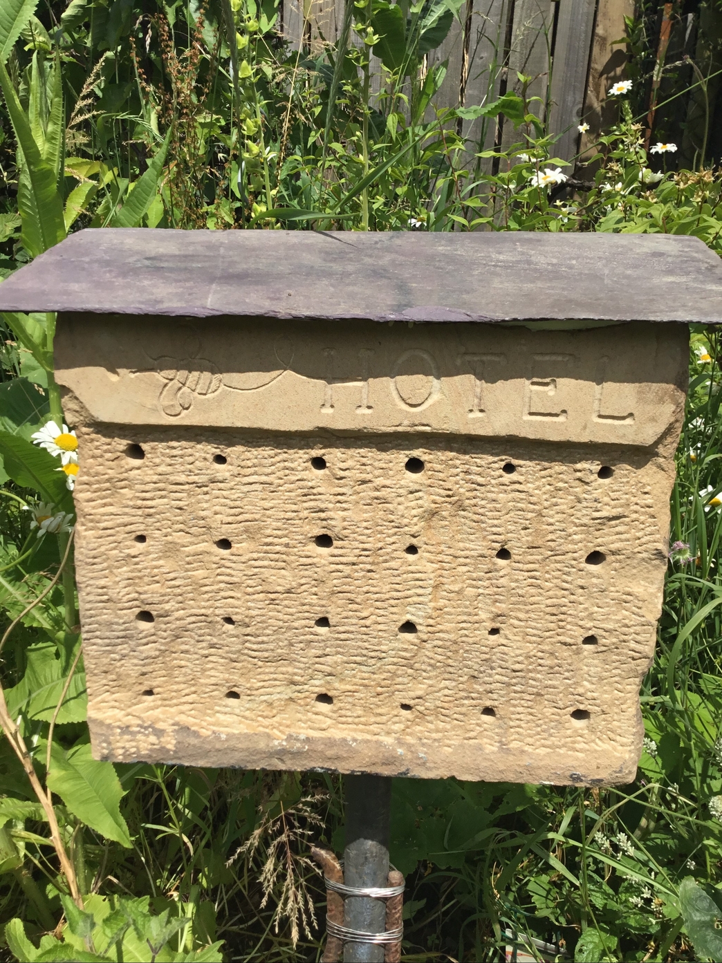 Wildlife Gardening Award | Yorkshire Wildlife Trust