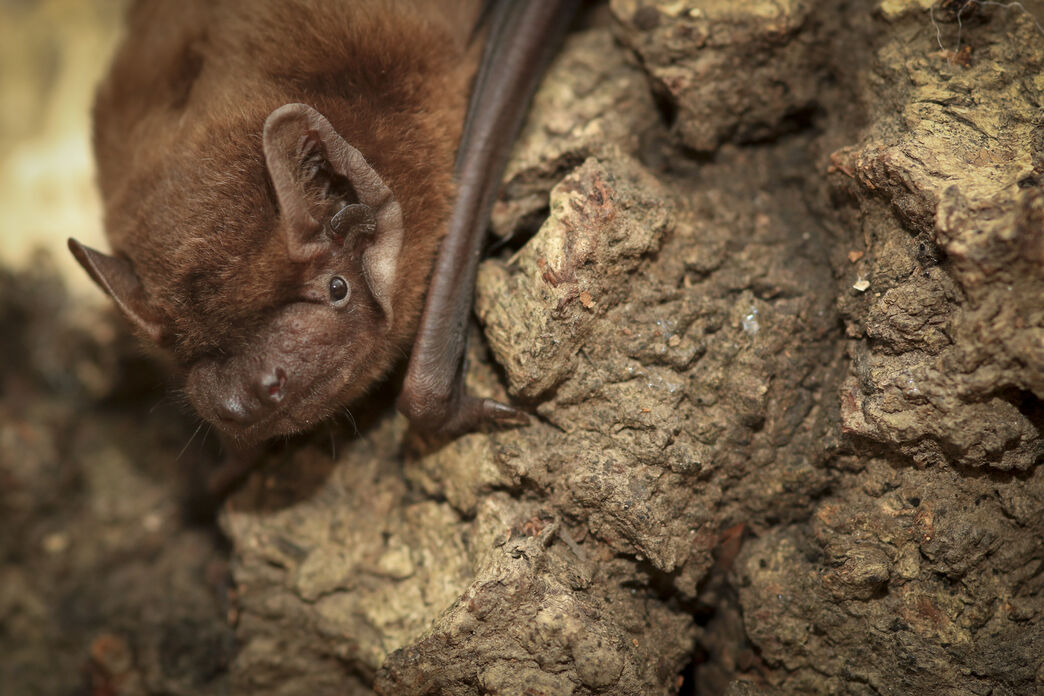 Calderdale Energy Park | Yorkshire Wildlife Trust