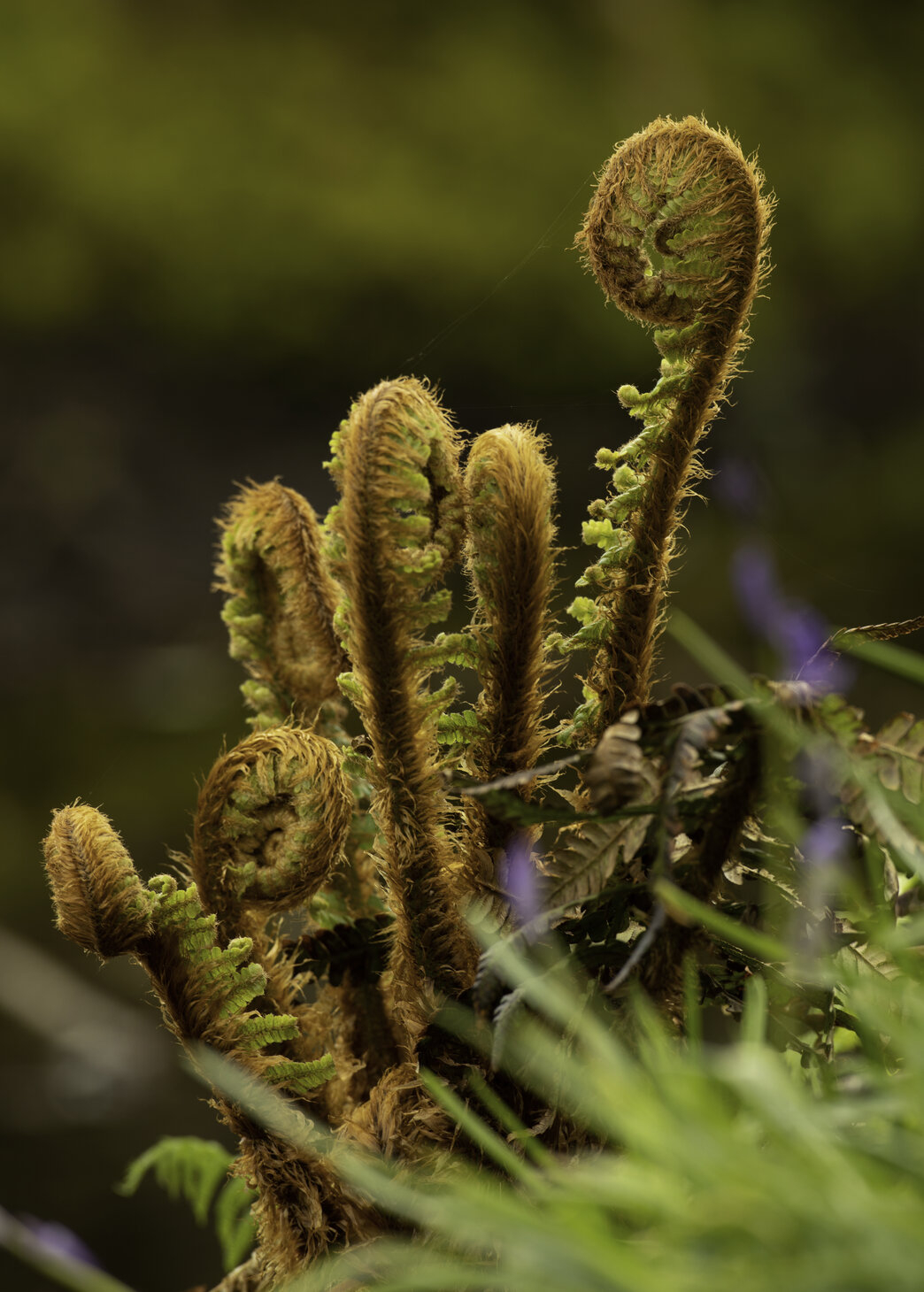 Wildlife Gardening Award | Yorkshire Wildlife Trust