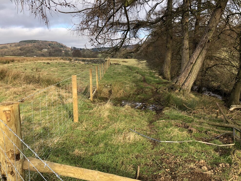 The Derwent Upland Streams Project | Yorkshire Wildlife Trust