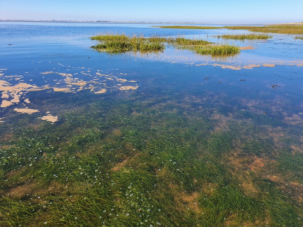 Community Habitat Creation Days | Yorkshire Wildlife Trust