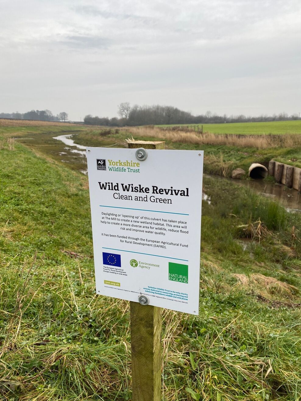 River Wiske Corridor | YWT