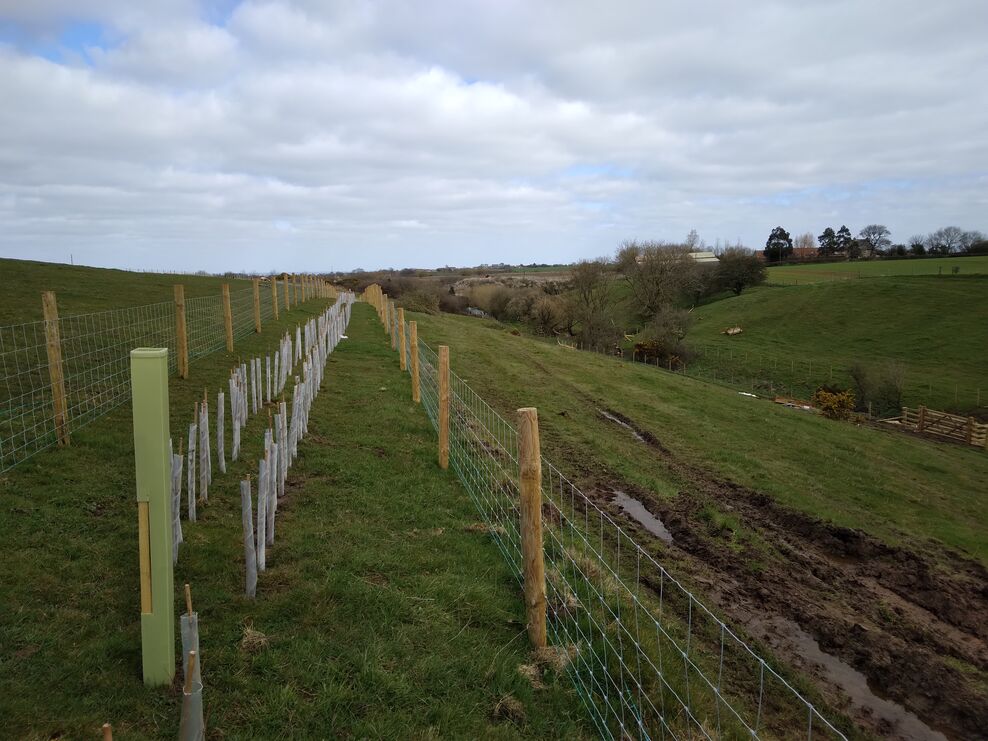 Better Estuaries & Coastal Habitats (BEACH Esk) | Yorkshire Wildlife Trust
