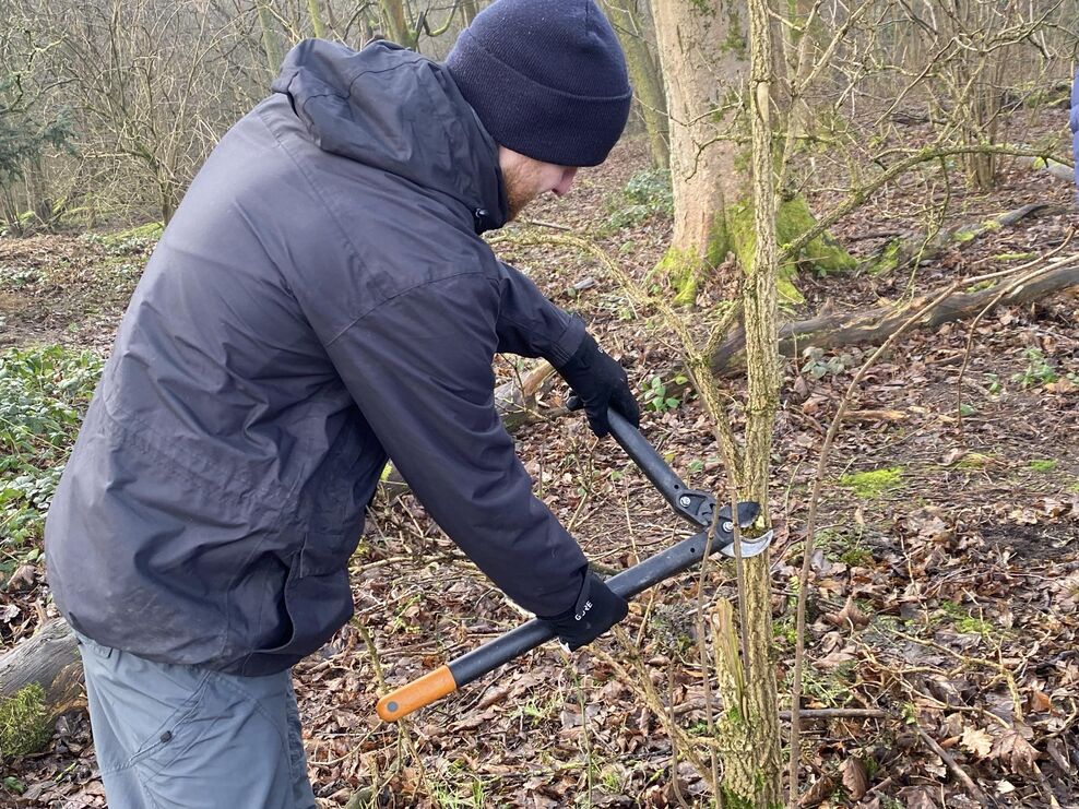 Adult Forest School at Adel Dam – why should kids have all the fun ...