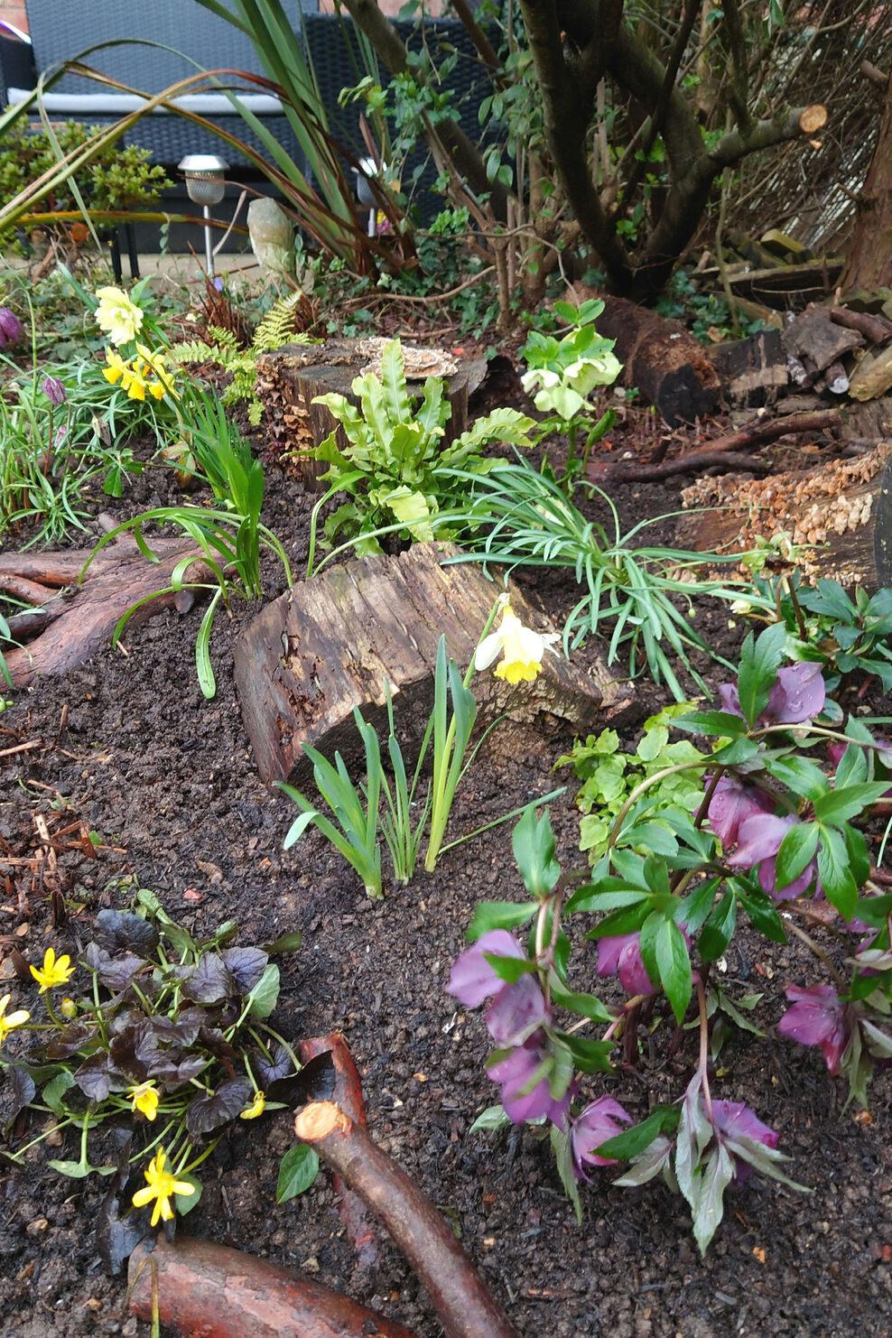 Wildlife Gardening Award 2024 | Yorkshire Wildlife Trust
