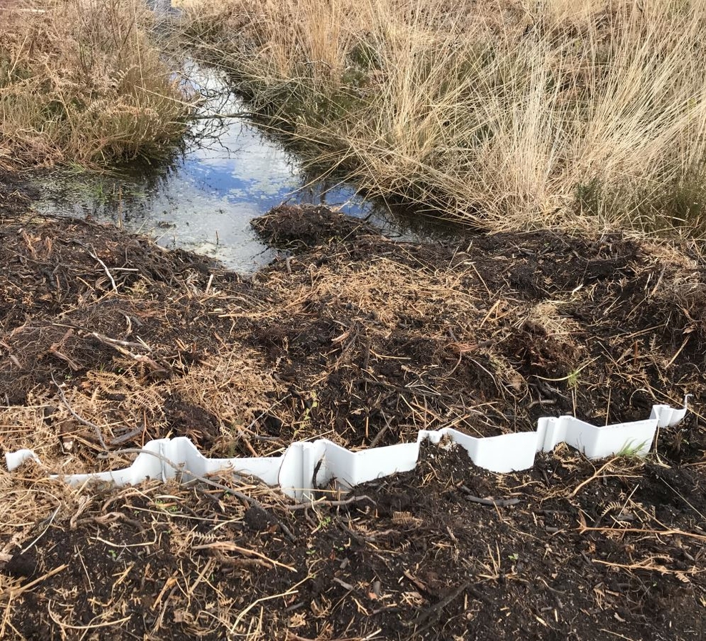 Peatland restoration in the Humberhead Levels | Yorkshire Wildlife Trust