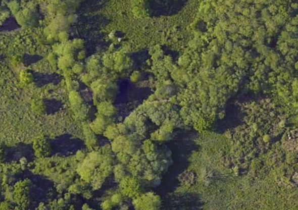 Be more Bog: Our long-term plans at Askham Bog nature reserve ...