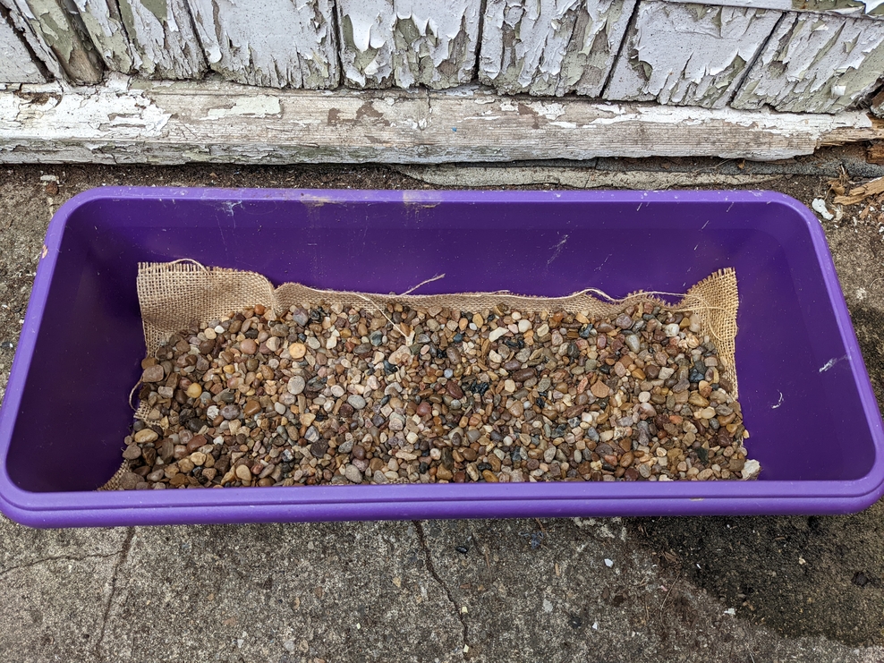 Water you waiting for? | Yorkshire Wildlife Trust