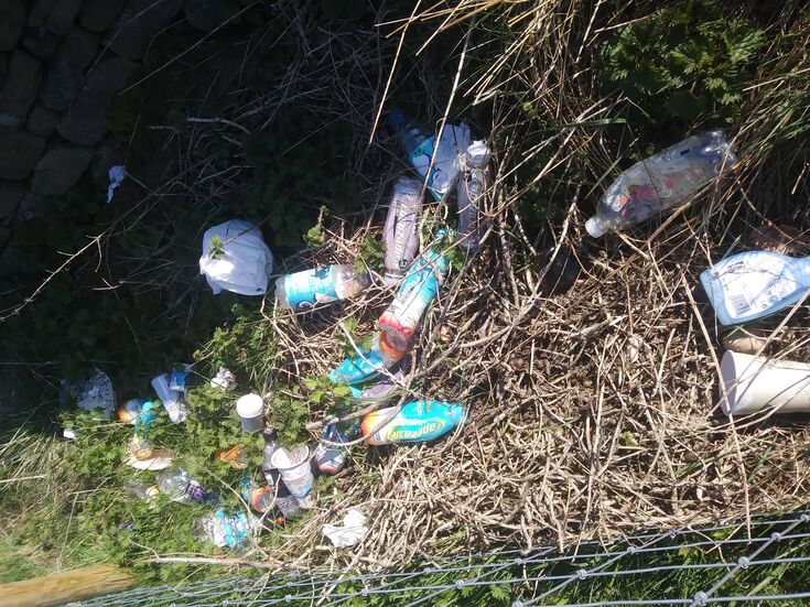 Turning out the cows | Yorkshire Wildlife Trust