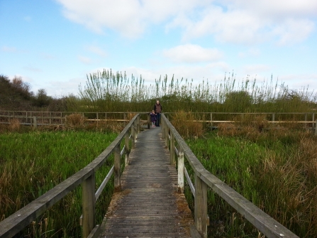 Fantastic Filey Dams | YWT