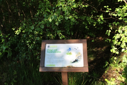 Access for all at Amazing Askham Bog | Yorkshire Wildlife Trust