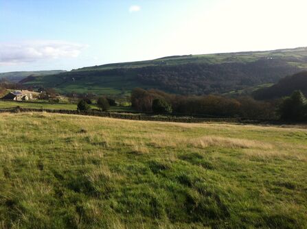 Reserves accessible by public transport | Yorkshire Wildlife Trust