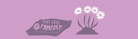 Wildlife Gardening Award | Yorkshire Wildlife Trust