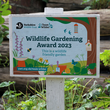Wildlife Gardening: Speak to the management! | Yorkshire Wildlife Trust