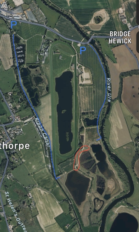 Ripon City Wetlands | Yorkshire Wildlife Trust