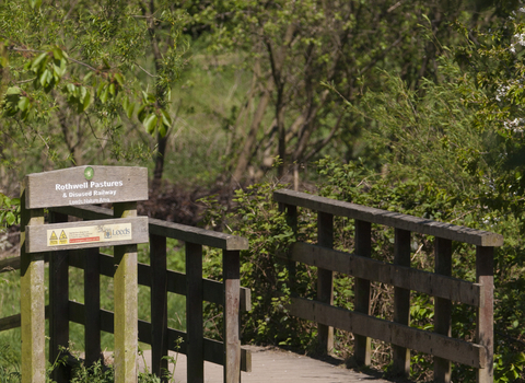 Rothwell Country Park | YWT