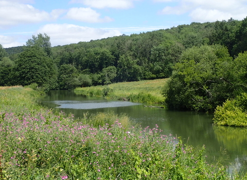 The river Derwent: from moor to meadow | Yorkshire Wildlife Trust