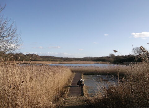 Potteric Carr wildlife sightings 2019/20 | Yorkshire Wildlife Trust